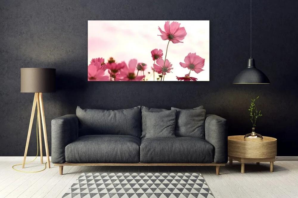 Plexisklo-obraz Květiny Rostlina Příroda 120x60 cm