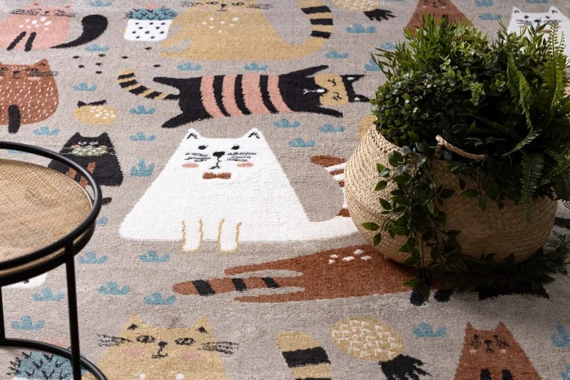 Dywany Łuszczów, Dětský kusový koberec Fun Kittens Cats beige, 160x220, vícebarevná, dětský pokoj