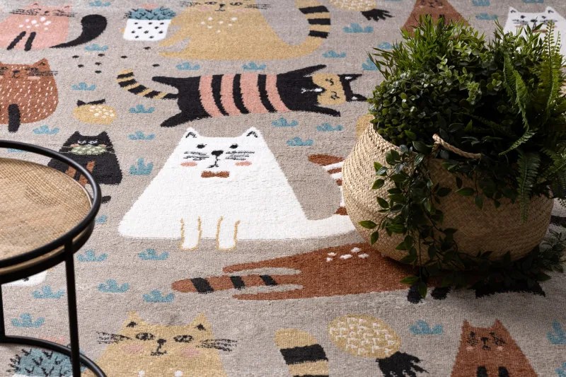 Dywany Łuszczów Dětský kusový koberec Fun Kittens Cats beige - 240x330 cm