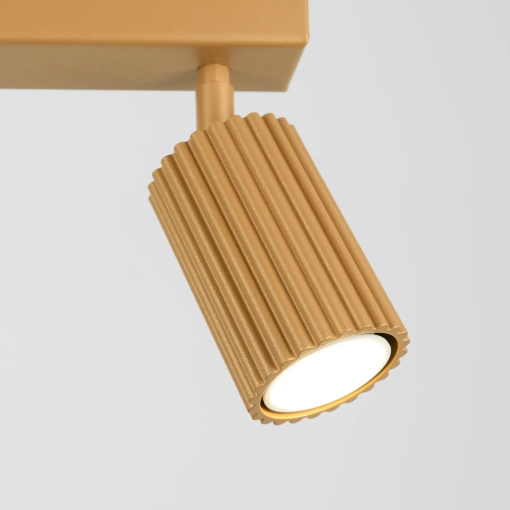 Sollux Lighting Stropní svítidlo KARBON 2 zlaté
