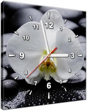 Tištěný obraz s hodinami Bílá orchidej 30x30cm ZP1708A_1AI