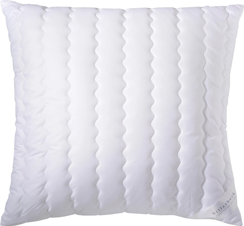 XXXLutz POLŠTÁŘ POD HLAVU, 80/80 cm Billerbeck - Polštáře pod hlavu - 003279053501
