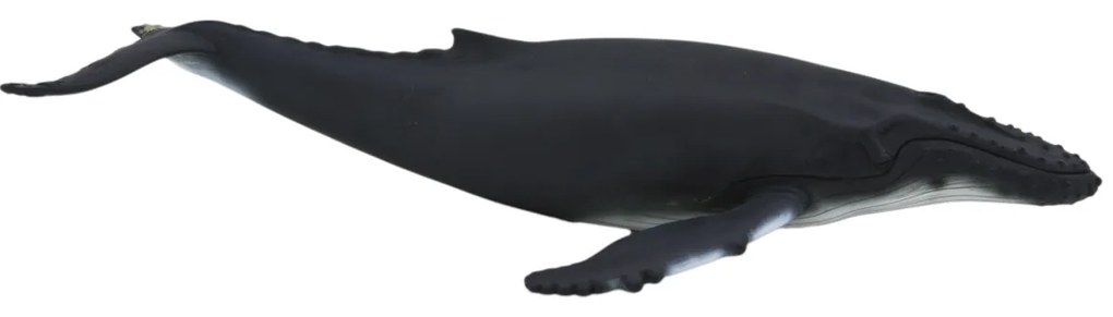 Mojo Keporkak