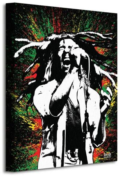 Art Group Obraz na plátně Bob Marley (Paint) Velikost: 30 x 40 cm