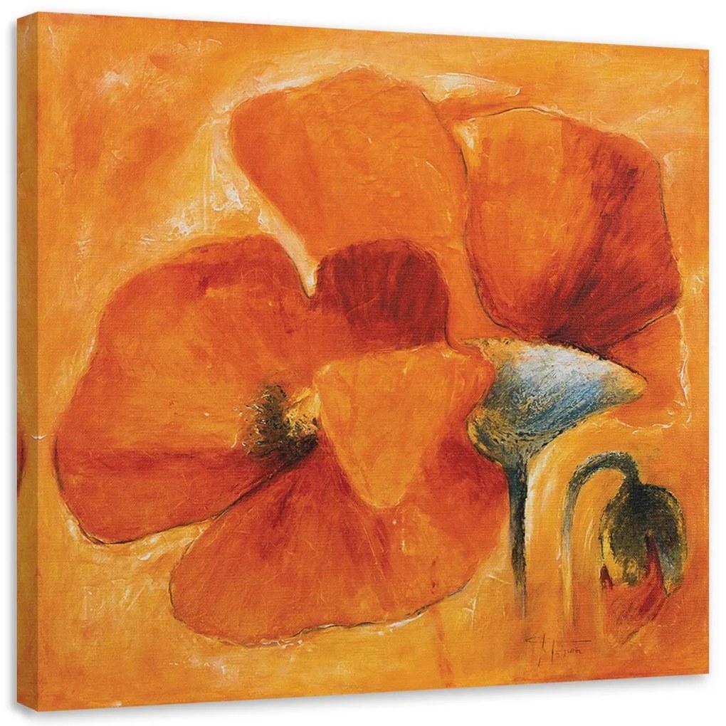 Obraz na plátně Květina Poppy Orange - 40x40 cm