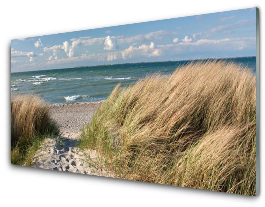 Plexisklo-obraz Pláž Moře Tráva Krajina 100x50 cm