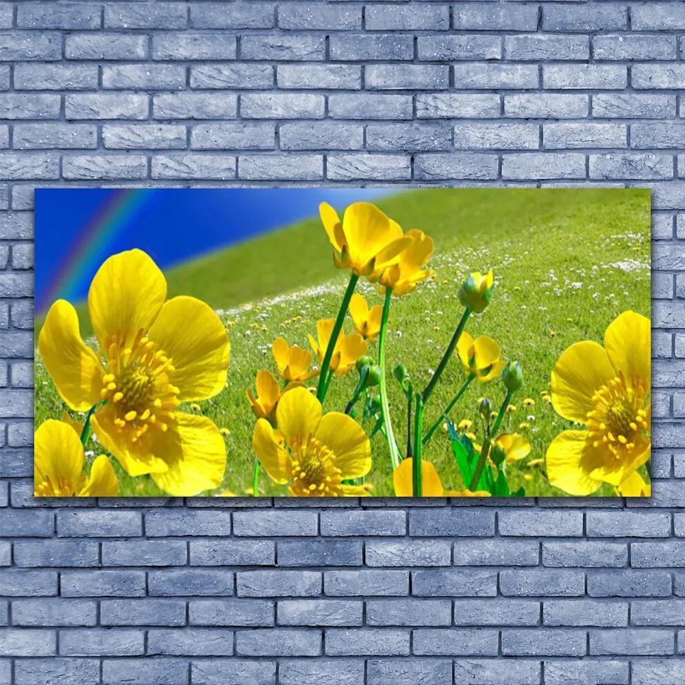 akrylový obraz Louka Květiny Duha Příroda 120x60 cm