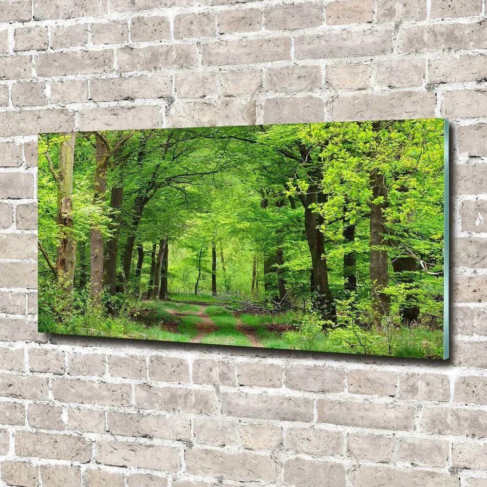 Wallmuralia Foto obraz skleněný horizontální Jarní les 140x70 cm