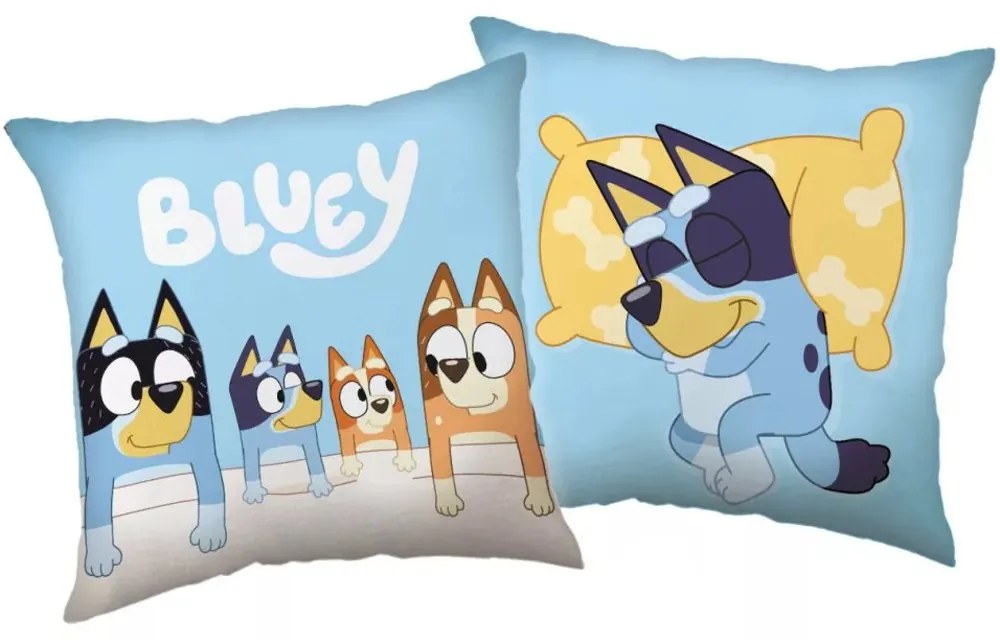 Oboustranný polštář Bluey - motiv Krásné sny - 40 x 40 cm