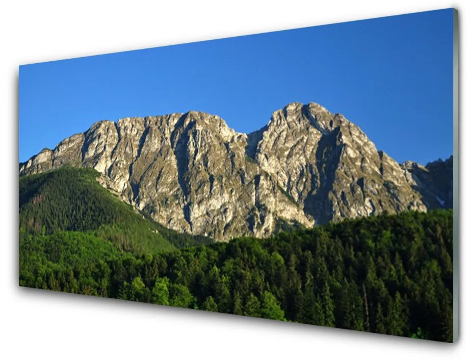 akrylový obraz Hora Les Příroda 120x60 cm