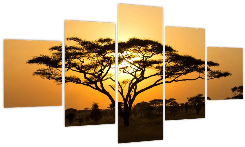 Obraz - Africká savana (125x70 cm)