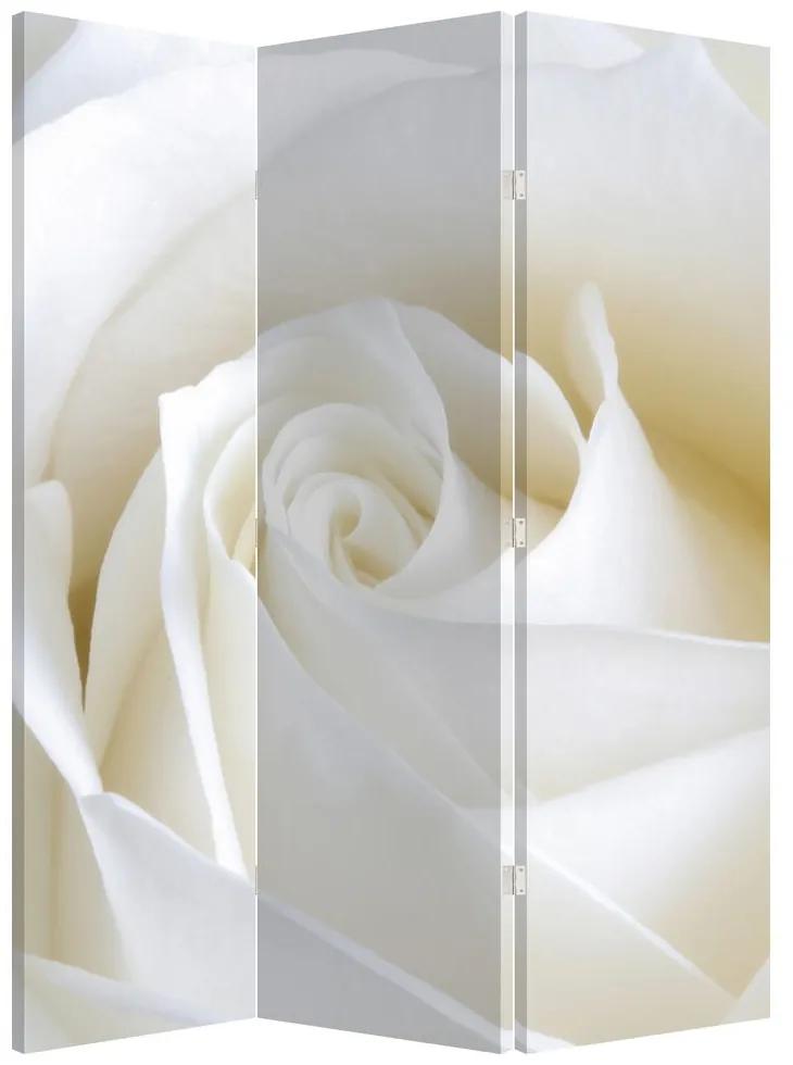 Paraván - Bílá růže (126x170 cm)