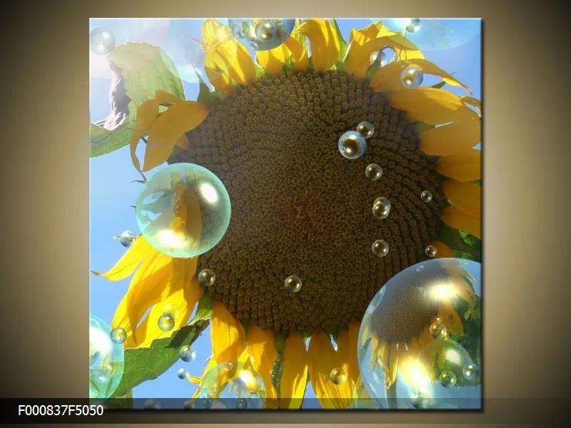 Obraz na plátně Slunečnice pod vodou, Čtverec 50x50cm 842 Kč