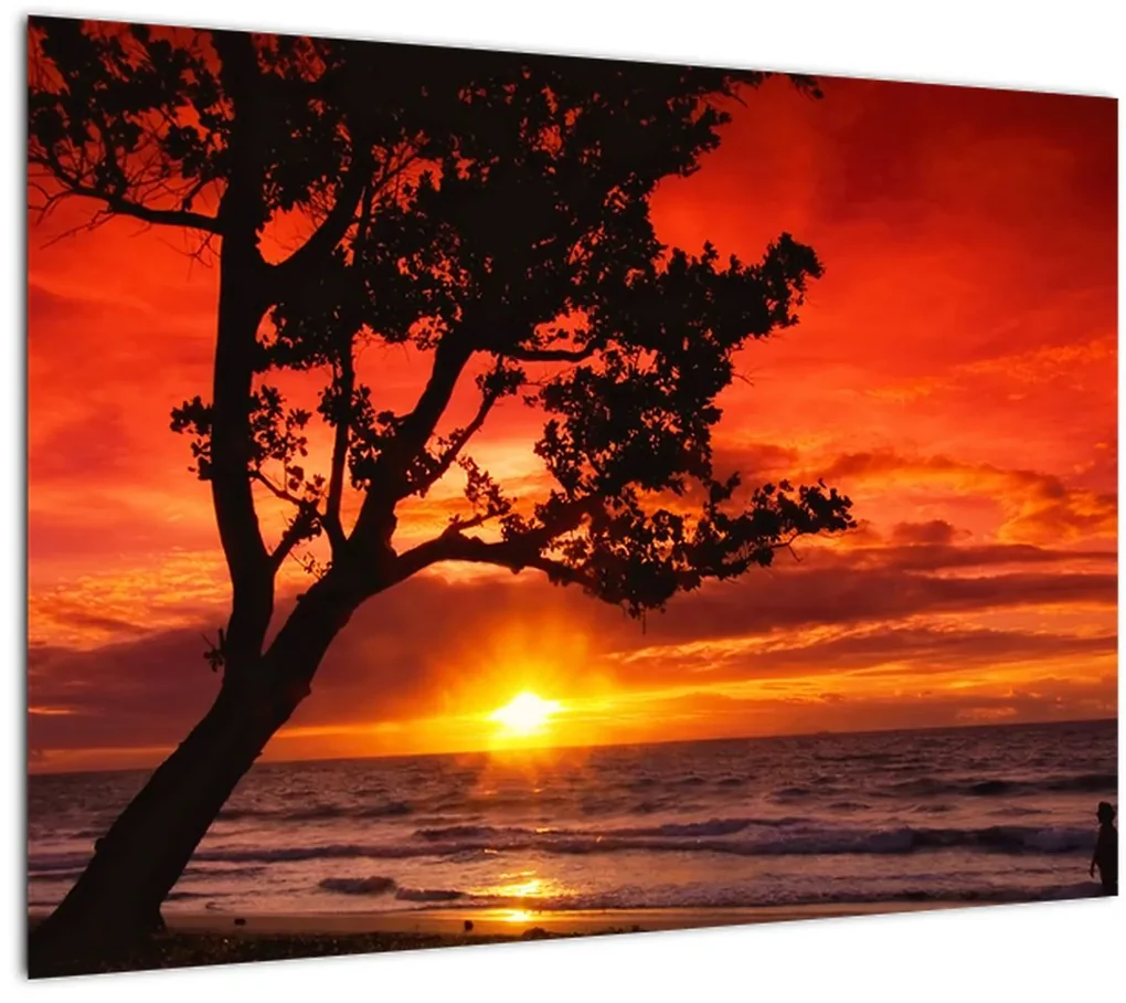 Obraz Z pad Slunce 70x50 Cm BIANO