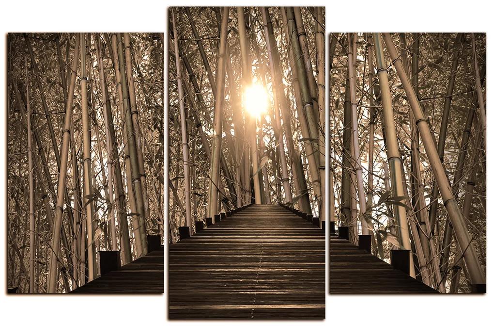 Obraz na plátně - Dřevěná promenáda v bambusovém lese 1172FC (135x90 cm)