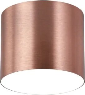 Immax NEO 07319L - LED Stm stropní sv RONDATE 18W/230V 11,5 cm Wi-Fi Tuya rose