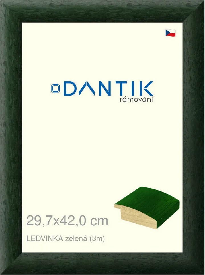 DANTIK rámeček 29,7x42 | LEDVINKA zelená (Plexi Čiré)