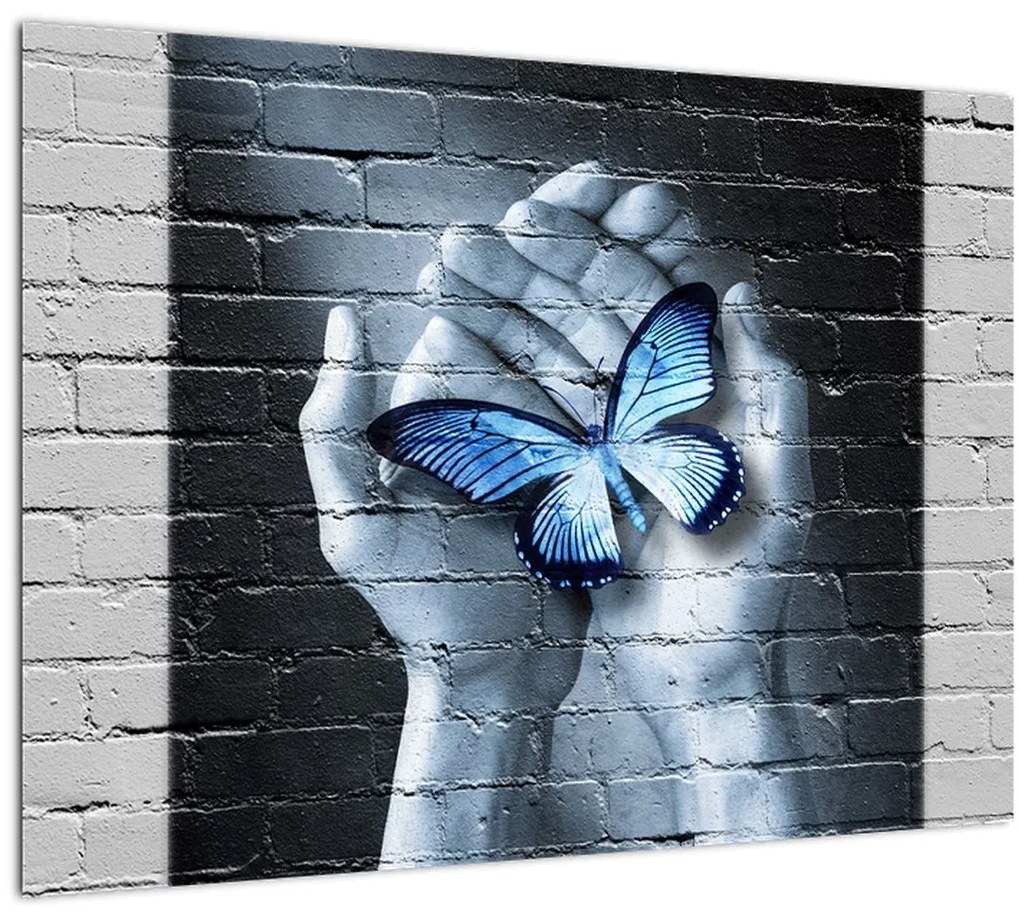 Skleněný obraz - Motýl na zdi (70x50 cm)