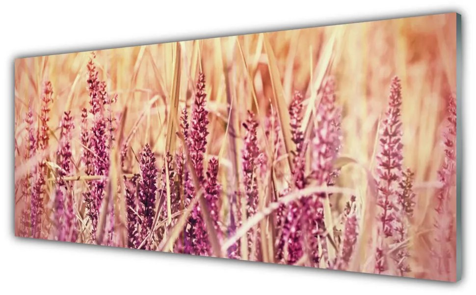 Plexisklo-obraz Pšenice Rostlina Příroda 125x50 cm