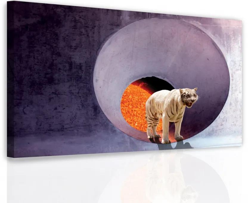 Malvis ® Obraz - Tygr ve vesmíru Velikost: 150x100 cm