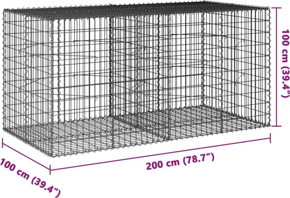 Gabionový koš s víkem 200 x 100 x 100 cm pozinkované železo 3295192