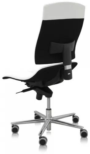 Zdravotní židle Steel Standard / černá