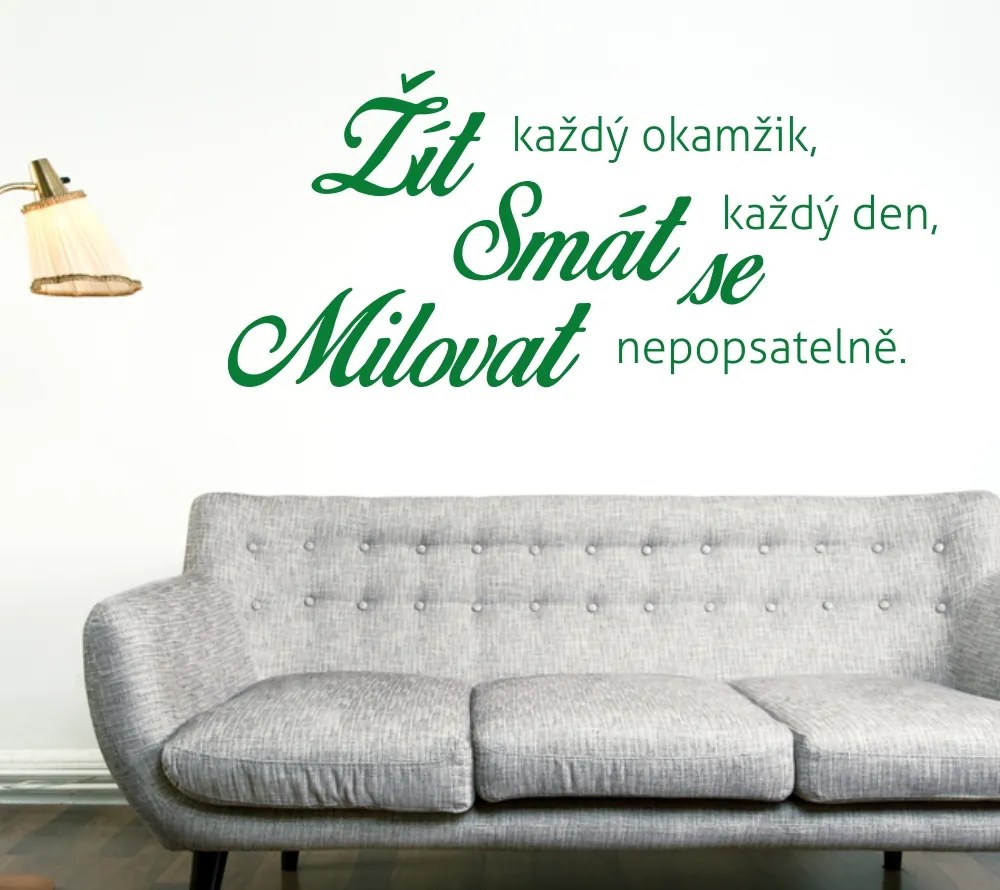 Samolepky na zeď - Žít, smát se a milovat Barva: Šedá střední, Velikost: 134x60 cm