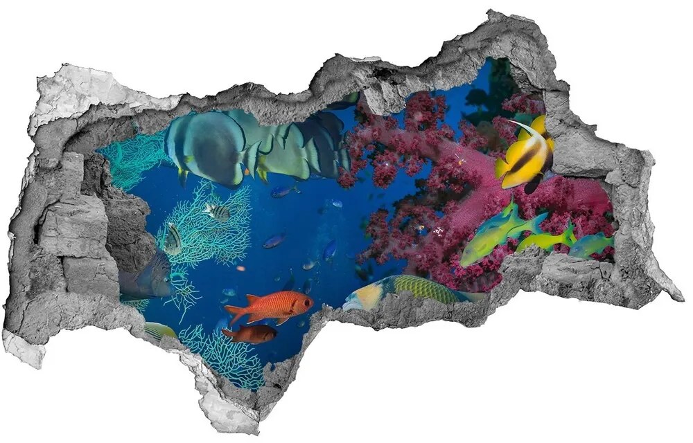 Wallmuralia Díra 3D fototapeta na stěnu Korálový útes 95x73 cm
