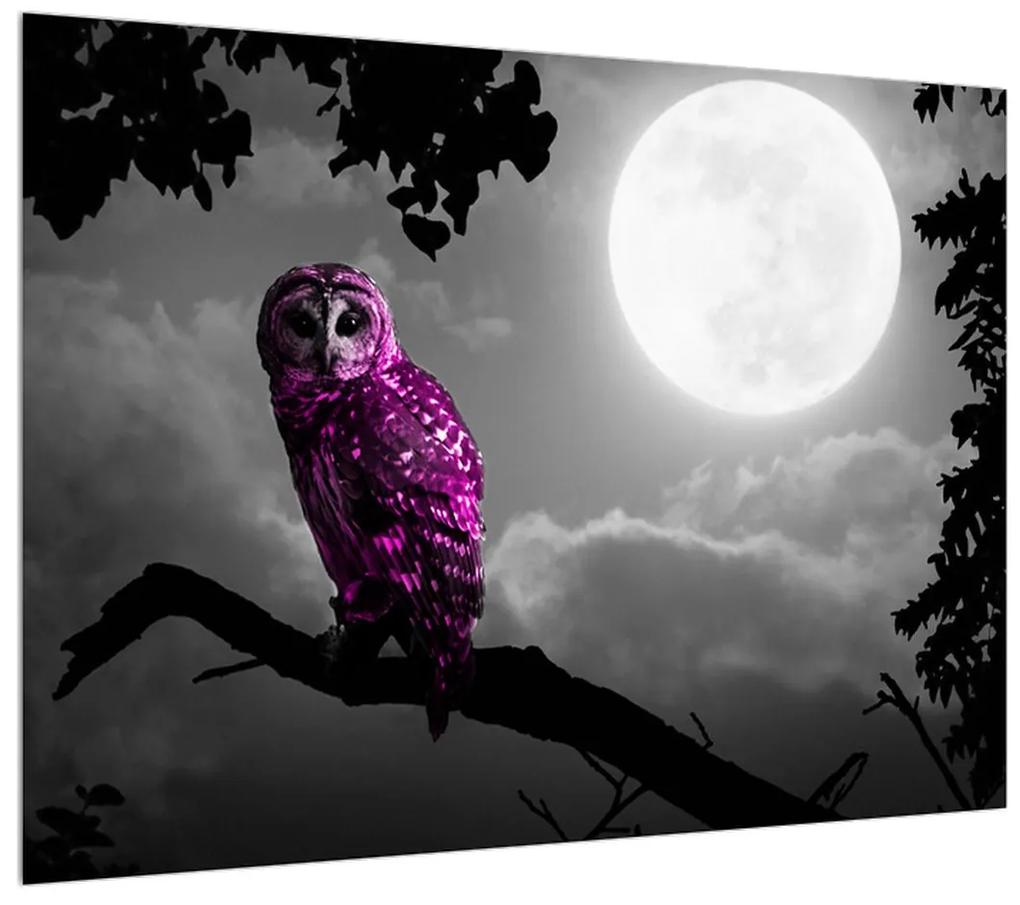 Obraz noční sovy (70x50 cm)