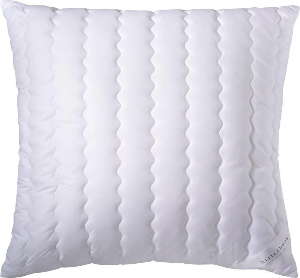XXXLutz POLŠTÁŘ POD HLAVU, 80/80 cm Billerbeck - Polštáře pod hlavu - 003279011202