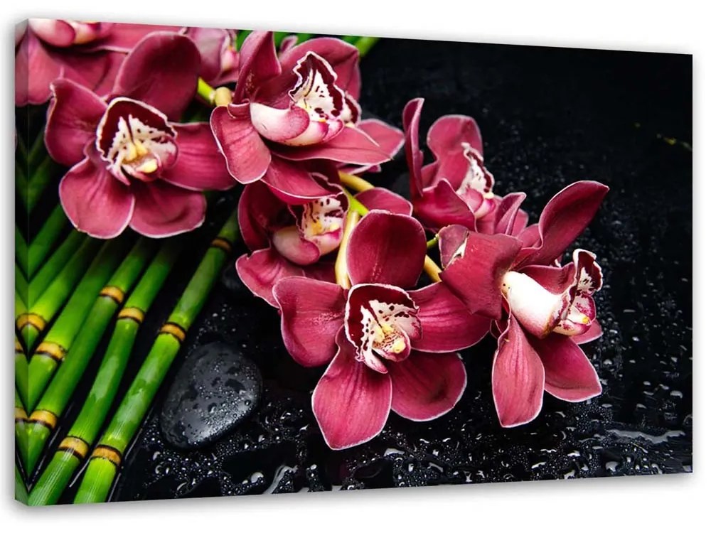 Gario Obraz na plátně Orchidej na bambusu Rozměry: 60 x 40 cm