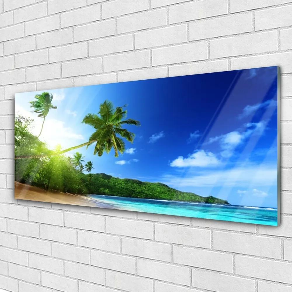 akrylový obraz Pláž Moře Palma Krajina 125x50 cm