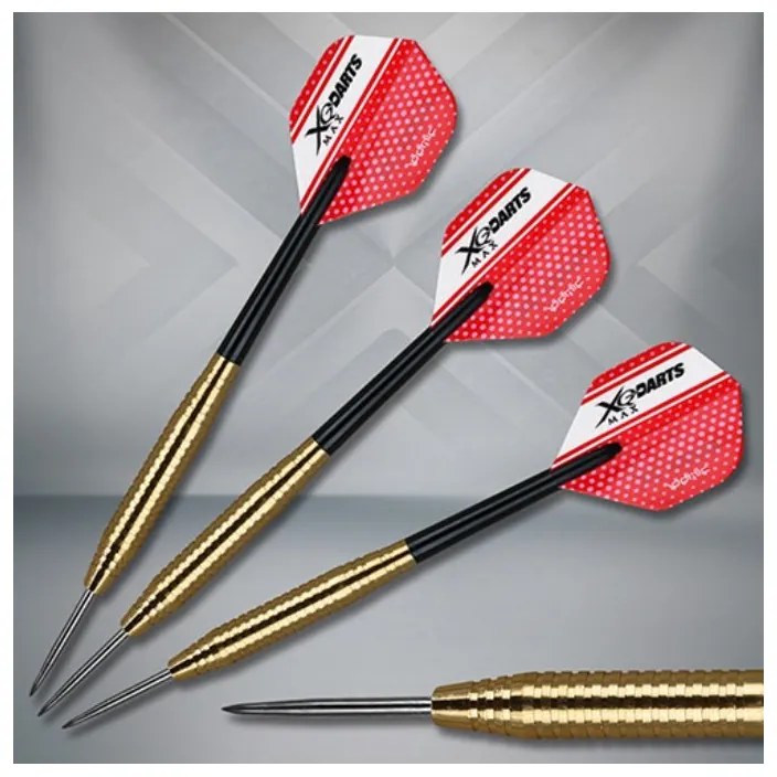 Šipky s terčem XQMax Darts Surround Tournament Set