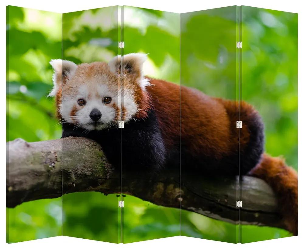 Paraván - Panda červená (210x170 cm)