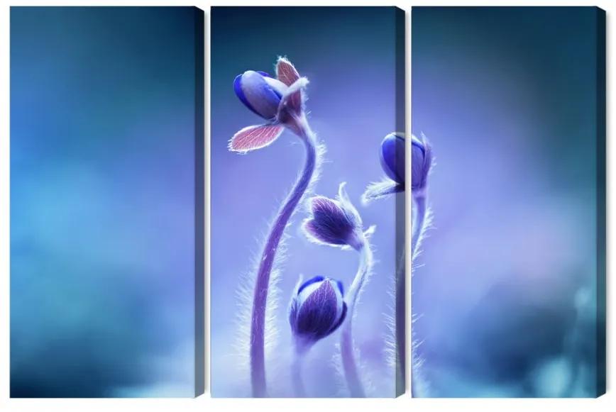 Vícedílný obraz Jemné Květiny V Makro Měřítku Nedostatek Nedostatek Plátno Canvas 120x80