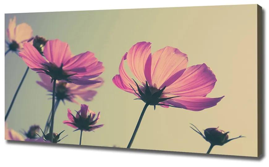 Wallmuralia Foto obraz canvas Růžové květiny 120x60 cm