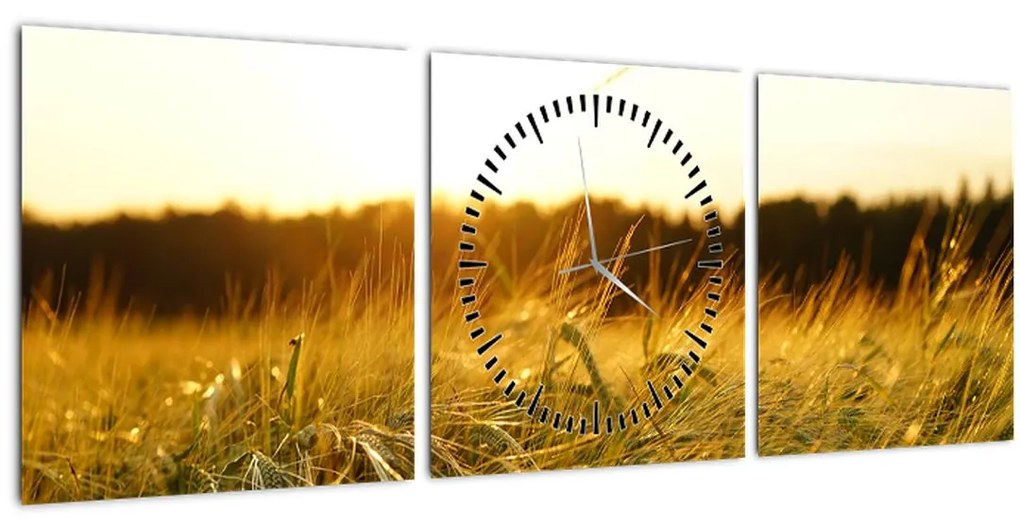 Obraz orosené trávy (s hodinami) (90x30 cm)