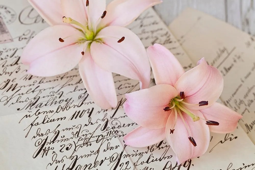 Tapeta překrásná lilie na dopise - 150x100 cm