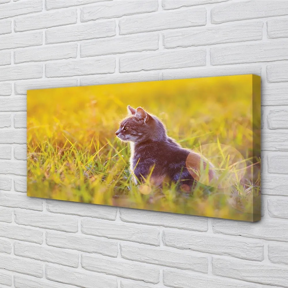 Obrazy na plátně lov cat 140x70 cm