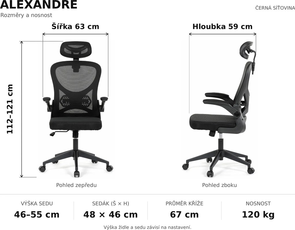 Ergonomická kancelářská židle ALEXANDRE - černá síťovina