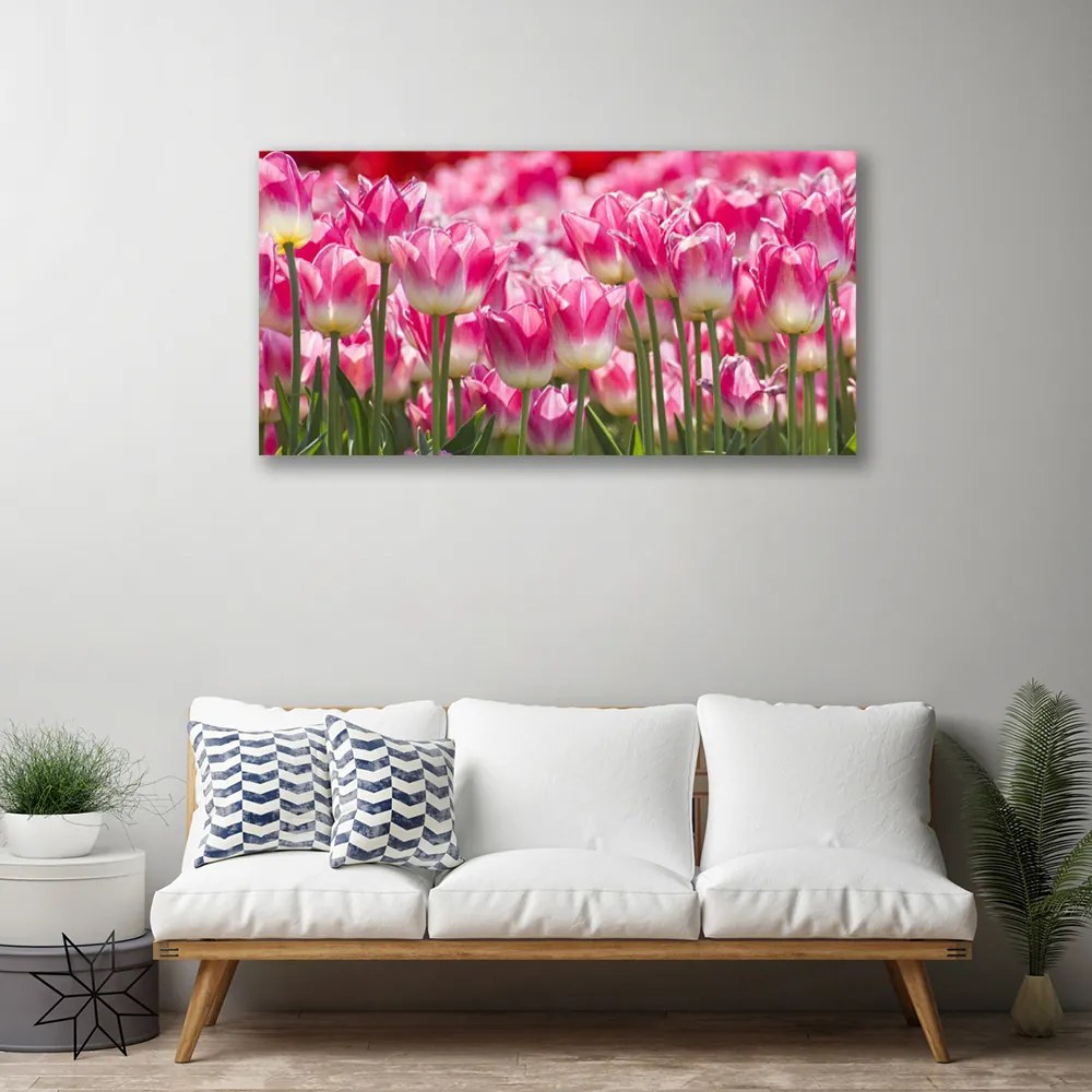 Obraz na plátně Tulipány Květiny Příroda 100x50 cm