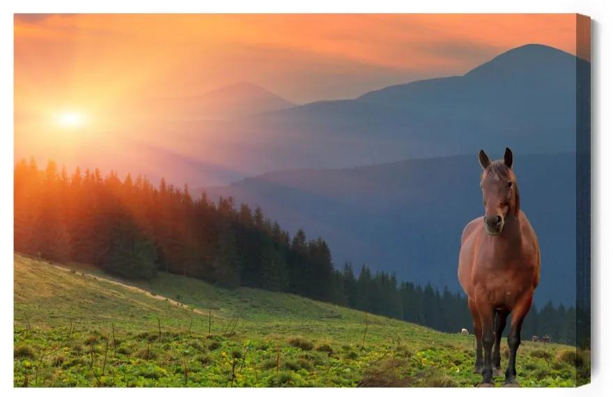 Obraz Kůň Na Pozadí Západu Slunce Nedostatek Nedostatek Přírodní plátno 30x20