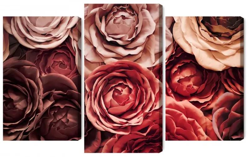 Vícedílný obraz Barevné Květiny Zblízka 3D Nedostatek Nedostatek Přírodní plátno 120x80