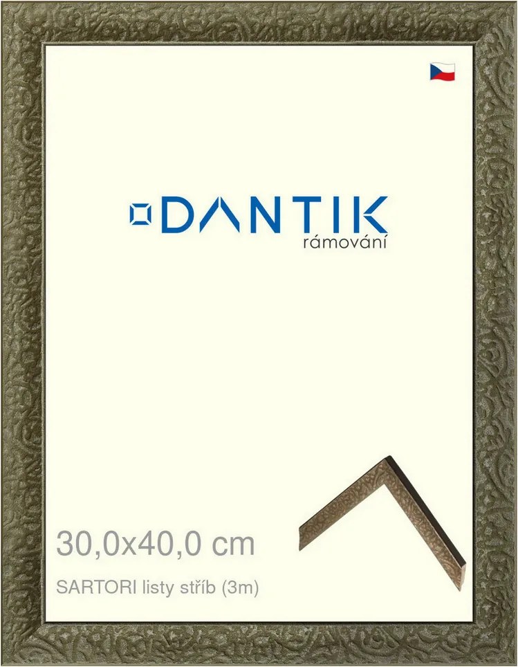 DANTIK rámeček 30x40 | SARTORI listy stříb (Plexi Čiré)