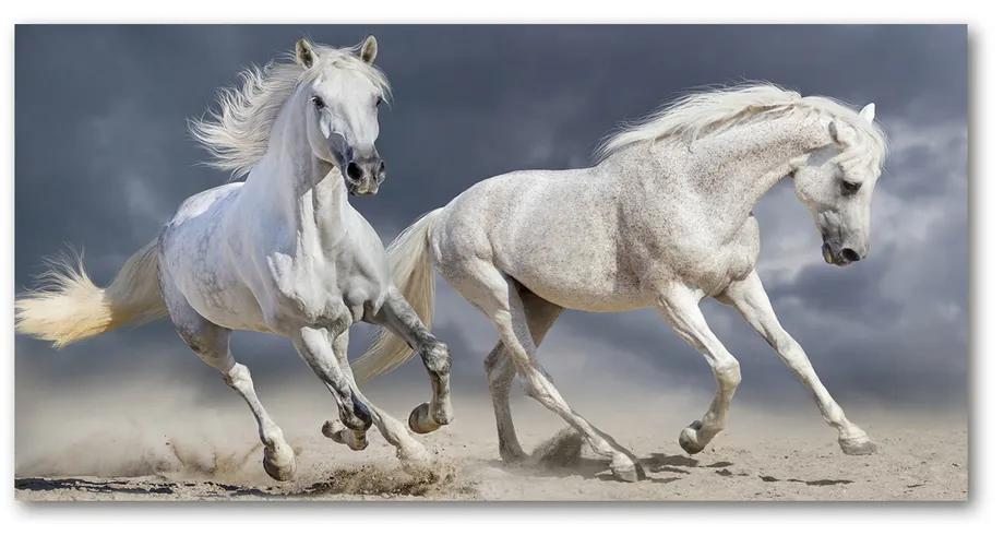 Wallmuralia Moderní foto-obraz akryl na stěnu Bílí koně pláž 140x70 cm