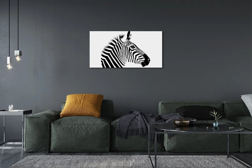 Obrazy na plátně Ilustrace zebra 100x50 cm