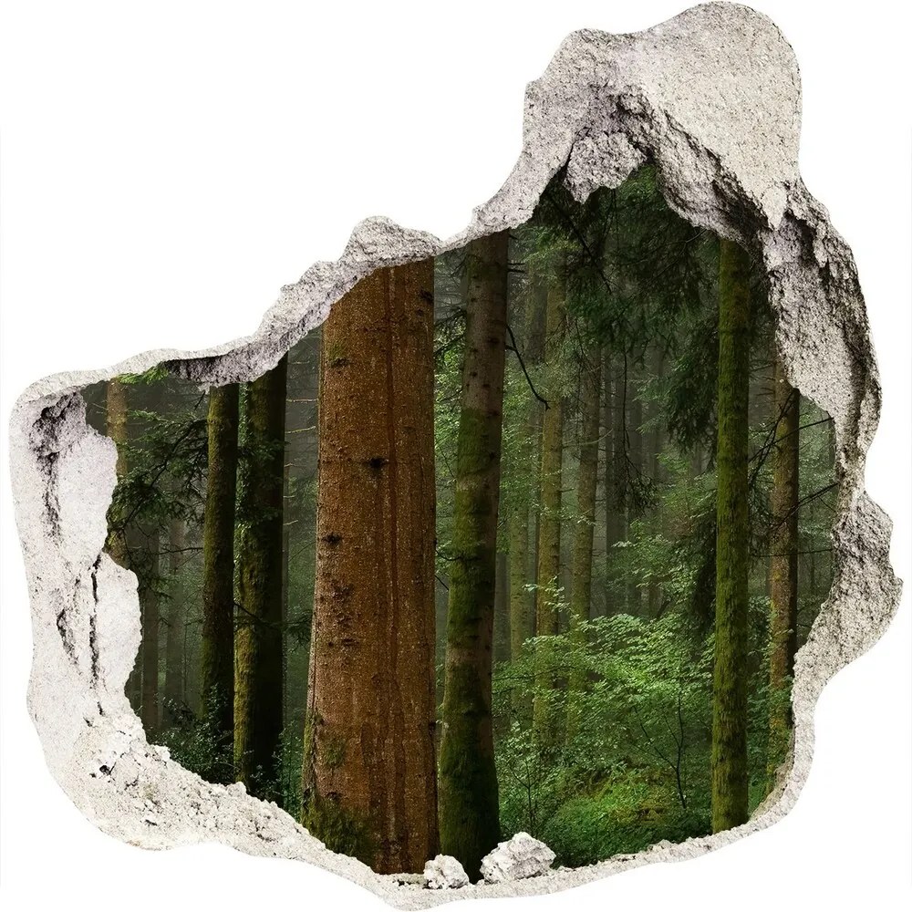 Wallmuralia Fototapeta díra na zeď Mlha v lese 75x75 cm