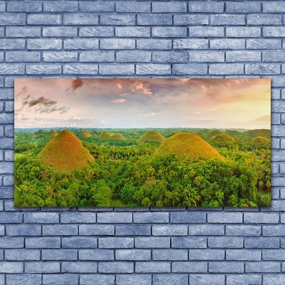 akrylový obraz Les Příroda 120x60 cm