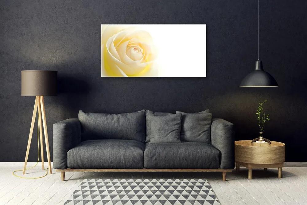 Obraz na skle Růže Květ Rostlina 140x70 cm
