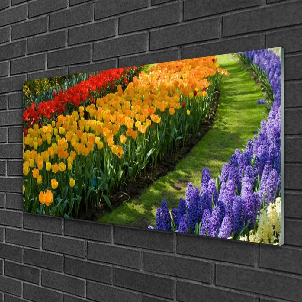 Obraz na skle Květiny Zahrada Tulipány 100x50 cm